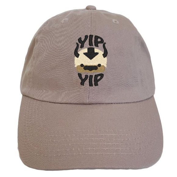 Accessories | Appa Avatar Hat | Poshmark